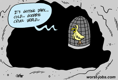 Coal Mining Memes Grumpy Cat Meme Imgflip